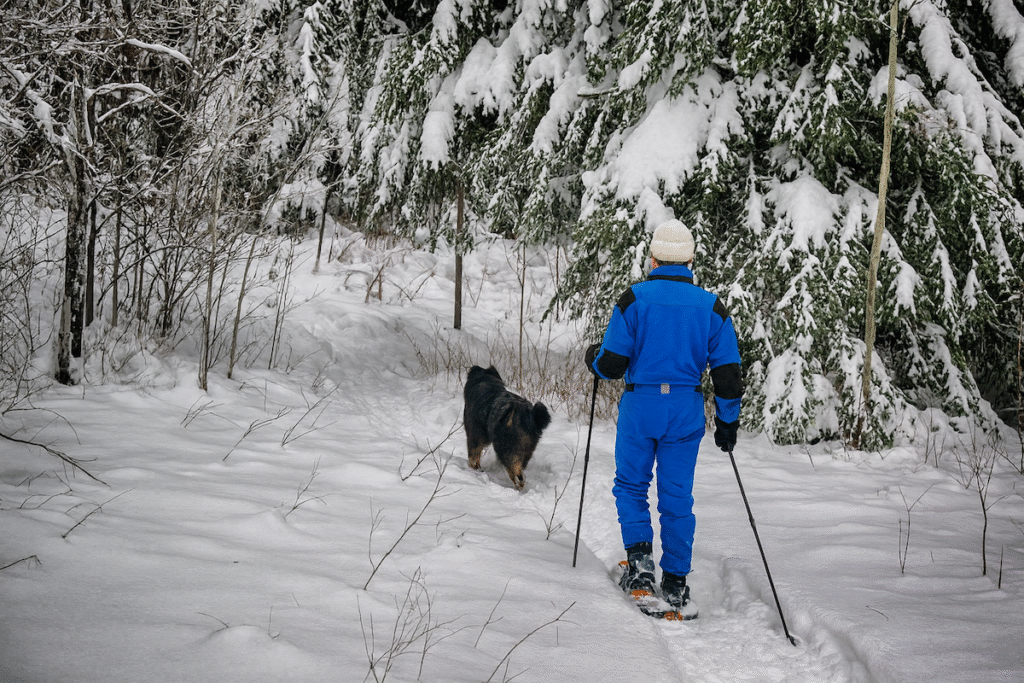 Snowshoeing - Mount Lemmon Lodge