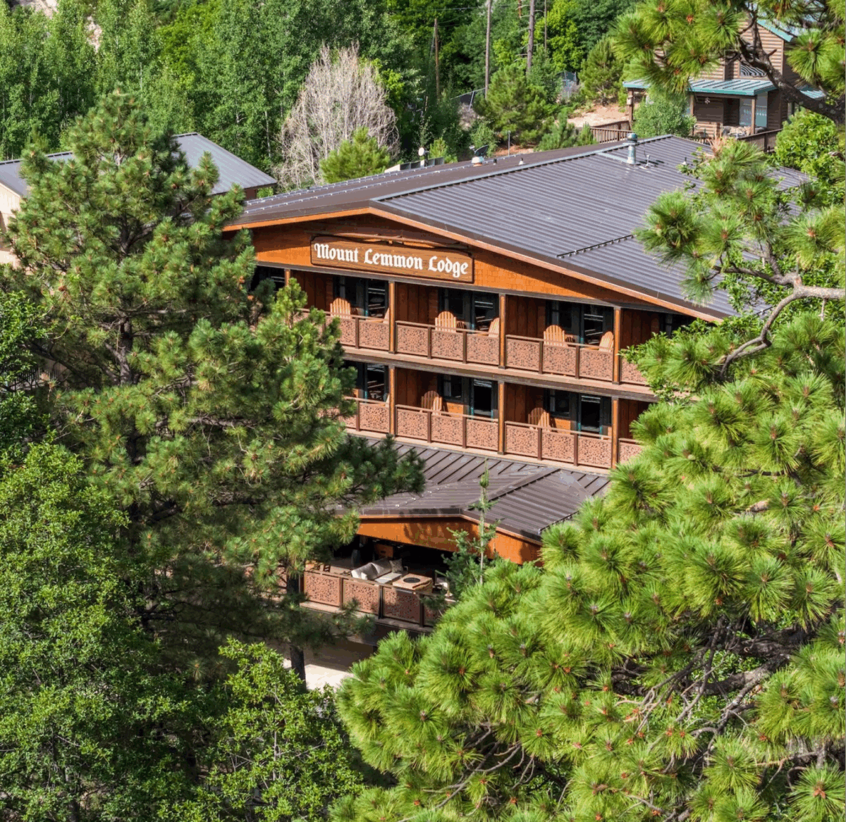 Mount Lemmon Lodge | A Boutique Arizona Alpine Escape at 7700’
