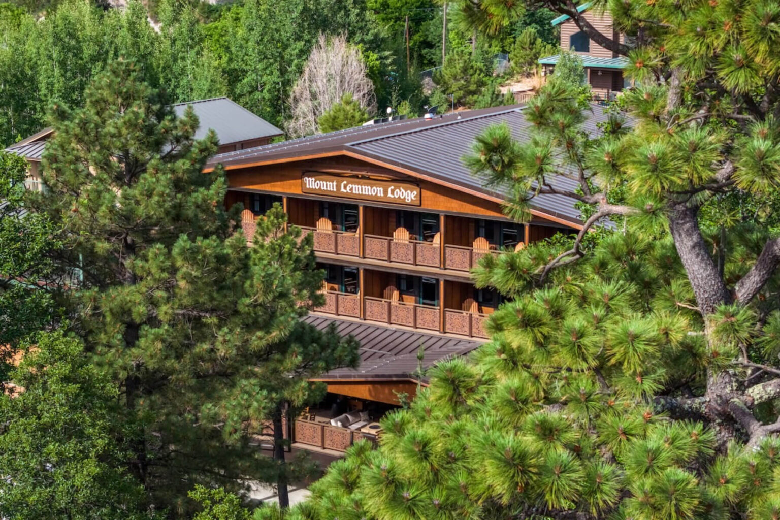 Aspen Fire: How Summerhaven Rebuilt & Mount Lemmon Lodge rose